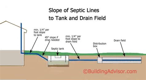 Septic Tank Leach Field Layout