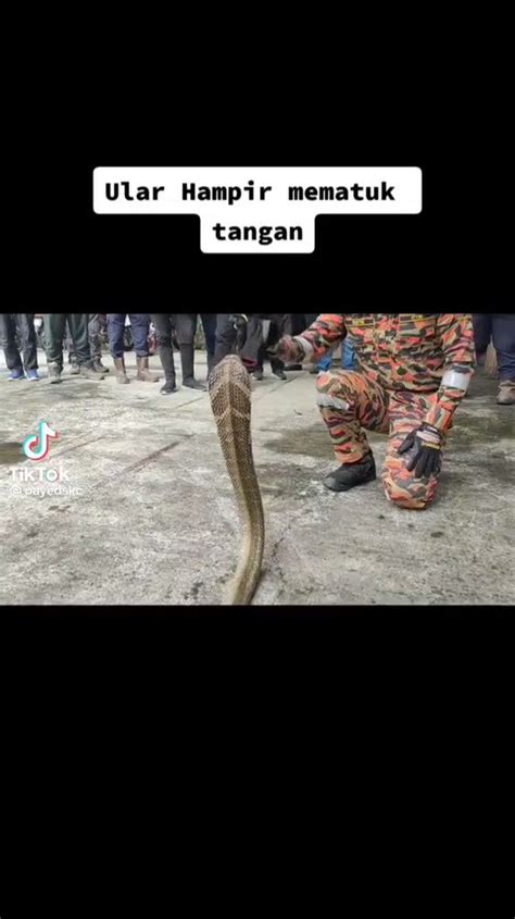 Jalal Misai On Twitter Oh Macam Ni Caranya Lepas Ni Boleh Cuba Lah