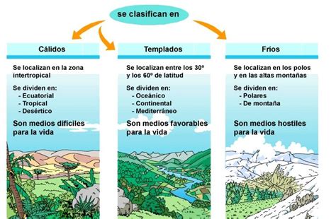 Tipos De Clima Cuadros Comparativos Y Sin Pticos Cuadro Comparativo