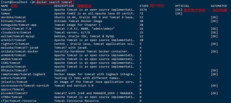 docker容器中安装vi命令 酷盾