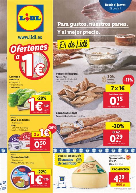 Cat Logo Lidl Actual Yulak