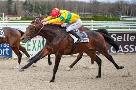 ZWEIG La fiche CANALTURF du cheval performances pmu pédigré