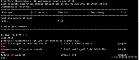 centos8 0 使用yum 安装jdk yum安装jdk安装路径在哪 csdn博客