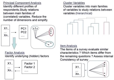 using multivariate statistical tools to analyze customer and survey data