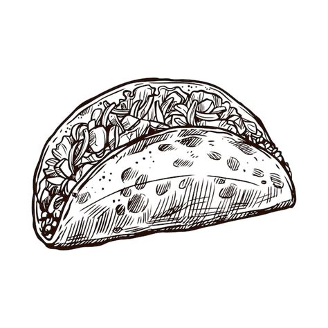 Premium Vector Taco Sketch Mexican Holiday Cinco De Mayo Fiesta