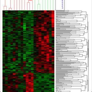 Hierarchical Clustering And Heatmap Representation Of Expression