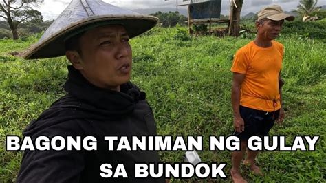 New Project Namin Ni Tatay Malawak Na Taniman Ng Gulay Sa Bundok