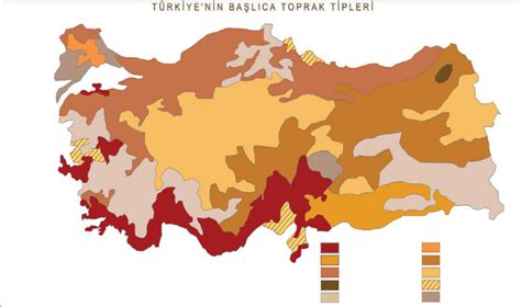 Görsel türkiyenin toprak tipleri Quizlet