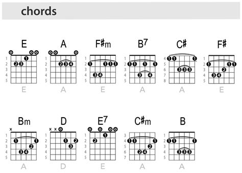 Shared Post 220 Circle Of Fifths Guitar Lesson