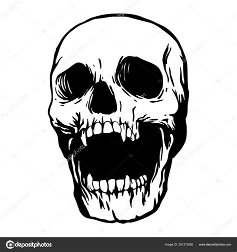 Black White Skull Stock Vector By Csc1121 381372560