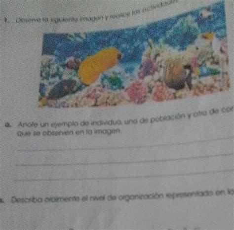 Observa La Siguiente Imagen Y Realiza Las Actividades Anota Un Ejemplo