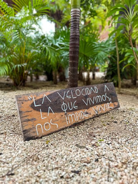 La iglesia más bonita de Cancún El Santuario María Desatadora de Nudos