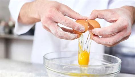 Ini Kandungan Protein Putih Telur Rebus Yang Perlu Diketahui Indofarm