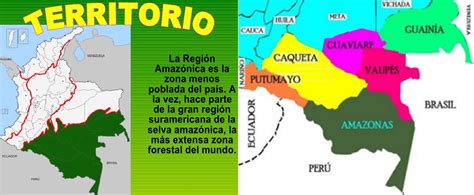 Región amazónica Qué es ubicación características y más