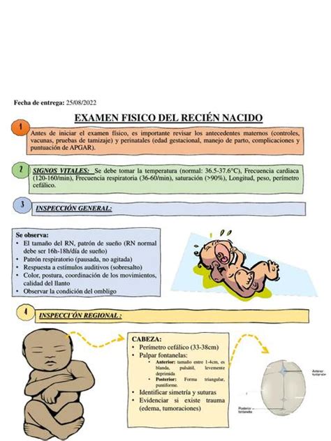 Examen fisico del recién nacido uDocz