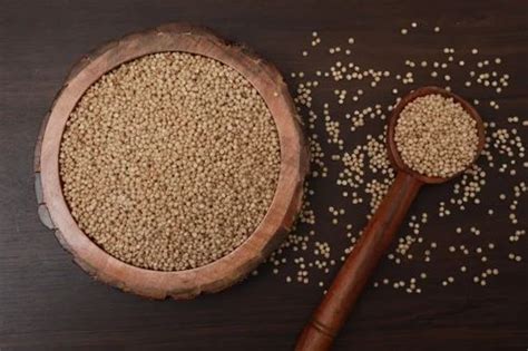 Brown Dried Foxtail Millet Seed 25 High In Protein At Rs 90 Kg In