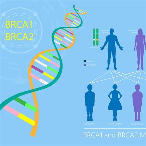 Breast Cancer BRCA Genetic Test Price In Delhi Cost Near Me