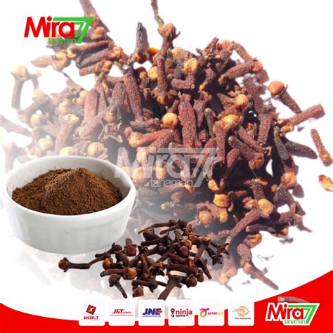Jual CENGKEH KERING 250 GRAM MIRA7 TANAMAN Shopee Indonesia