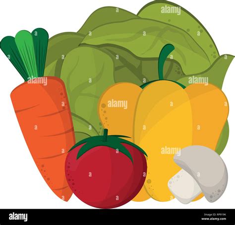 Hortalizas dibujo animado Imágenes vectoriales de stock Alamy