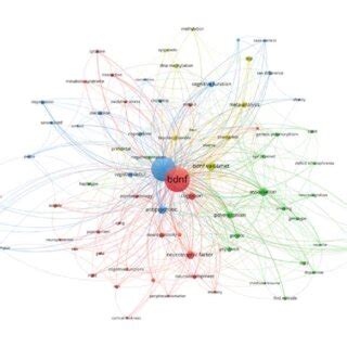 Co Occurrence Network Analysis Data Source Scopus Visualisation