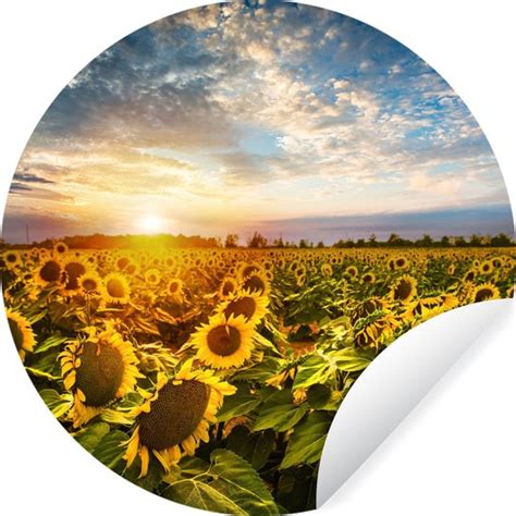 Wallcircle Muurstickers Behangcirkel Bloemen Zonnebloem Lucht