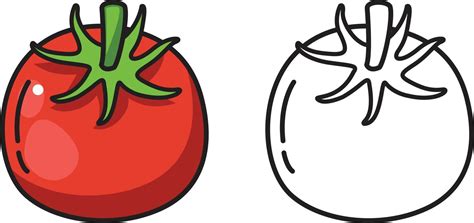 Tomate Colorido Y Blanco Y Negro Para Colorear Libro Vector En