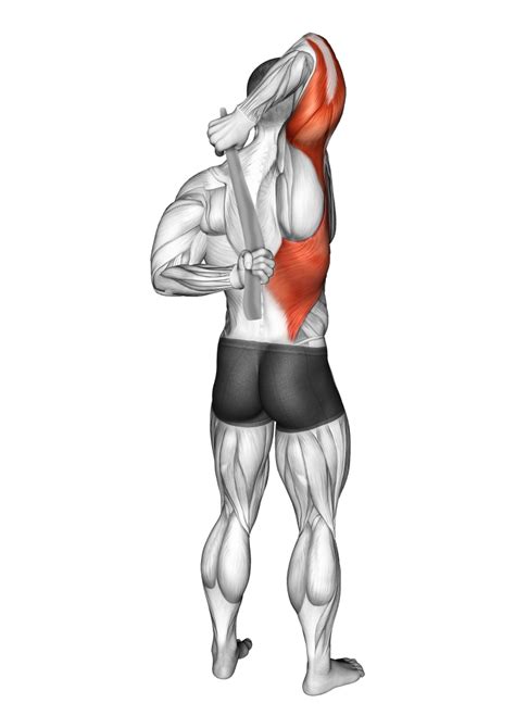 3 Best Rear Deltoid Stretches With Pictures Inspire US