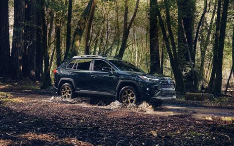 Comparison Toyota Rav Hybrid Woodland Edition Vs Kia