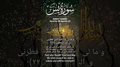 SURAH YASEEN with Urdu Translation سورۃ ی سین Tilawat Quran تلاوت قرآن