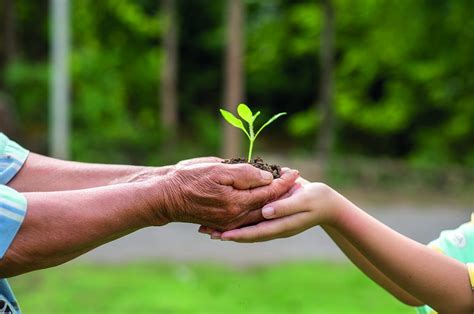 Se Necesita Un Plan De Acci N Para Proteger La Biodiversidad