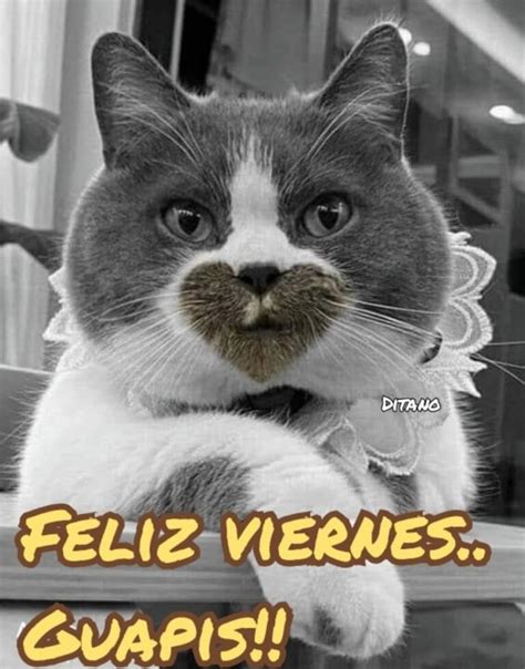 Im Genes Chistosas De Feliz Viernes Archives Imagenesmuybonitas Net