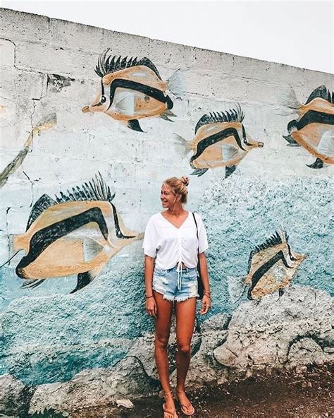 Dutchie Community On Instagram Een Prachtige Wereld Om Te Ontdekken
