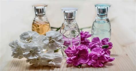 Woman Had Her Vaginal Fluid Turned Into Perfume To Attract Men Mommyish