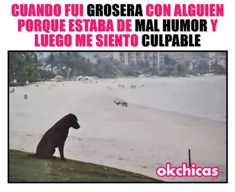 Eso es muy caro Esa madre vuela o qué Memes