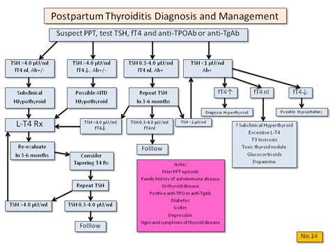 Postpartum Thyroiditis Diagnosis And Management Thyroid Disease Manager