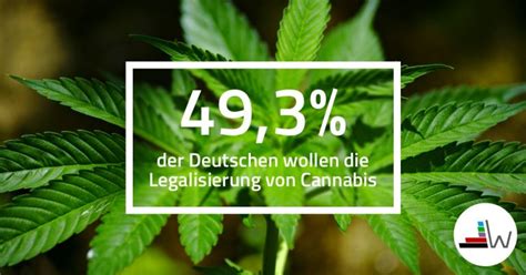 Knappe Mehrheit Sagt Gebt Das Hanf Frei Wahl De