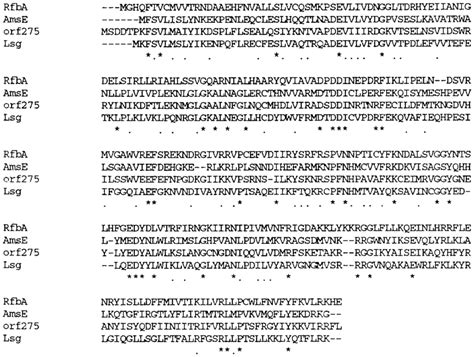 Multiple Sequence Alignment Of Rfba O And Homologous Proteins