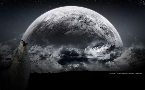 Wolf Howling Wallpaper Hd
