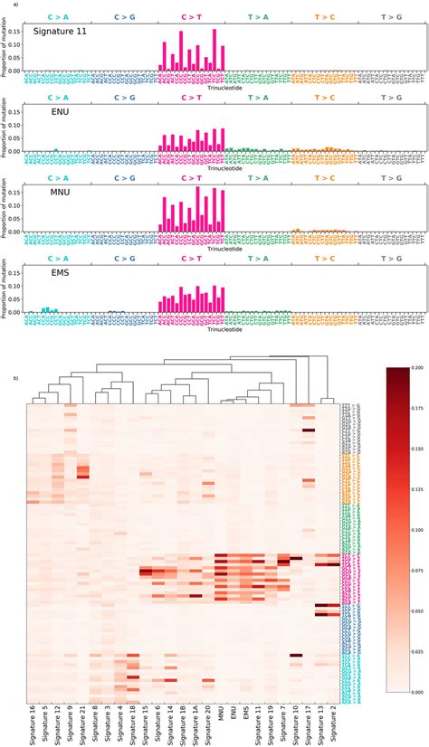 results of sequence context analyses of mutations observed in samples download scientific
