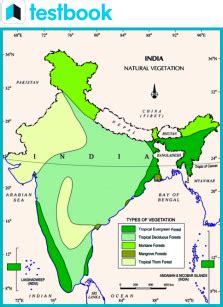 Natural Vegetation In India Types Features Distribution