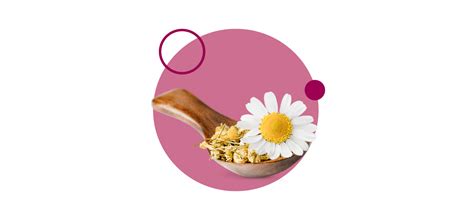 Curso de Fitoterapia Formación online