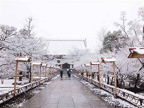 Heavy Snowfall In Kyoto Most Beautiful Cities Kyoto Japan Nature