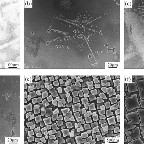 As Cast Microstructure Of K447A Alloy A Dendritic Microstructure
