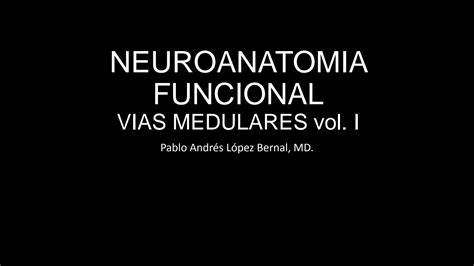 SOLUTION Uta Fisioterapia Neuroanatom A Vias Ascendentes Studypool