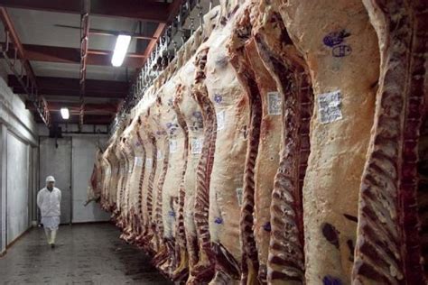 Desde Este Lunes Rige El Nuevo Acuerdo De Precios De La Carne Cu Les