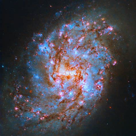 Hubble Captures Sparkling Arms Of Barred Spiral Galaxy Ngc Located