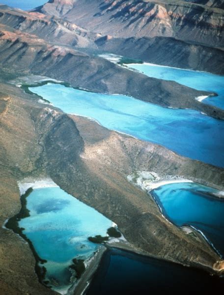 Islas y Áreas Protegidas del Golfo de California Patrimonio Natural