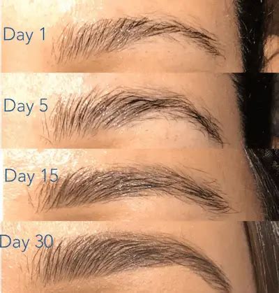 How Long Does It Take For Eyebrows To Grow Back And How To Make