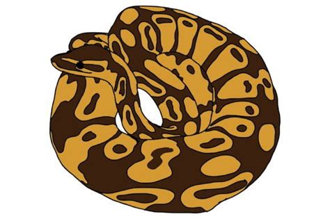 Coiled Python Vector Graphic By Arief Sapta Adjie Creative Fabrica