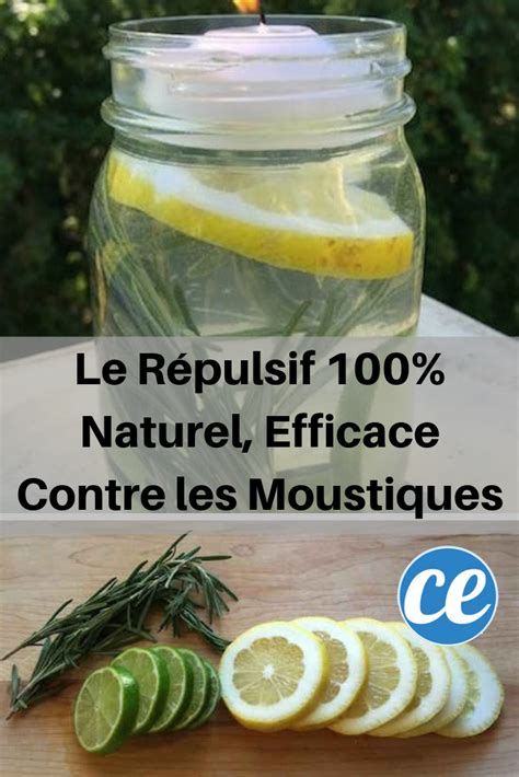 Le Répulsif 100 Naturel Efficace Contre les Moustiques Moustique